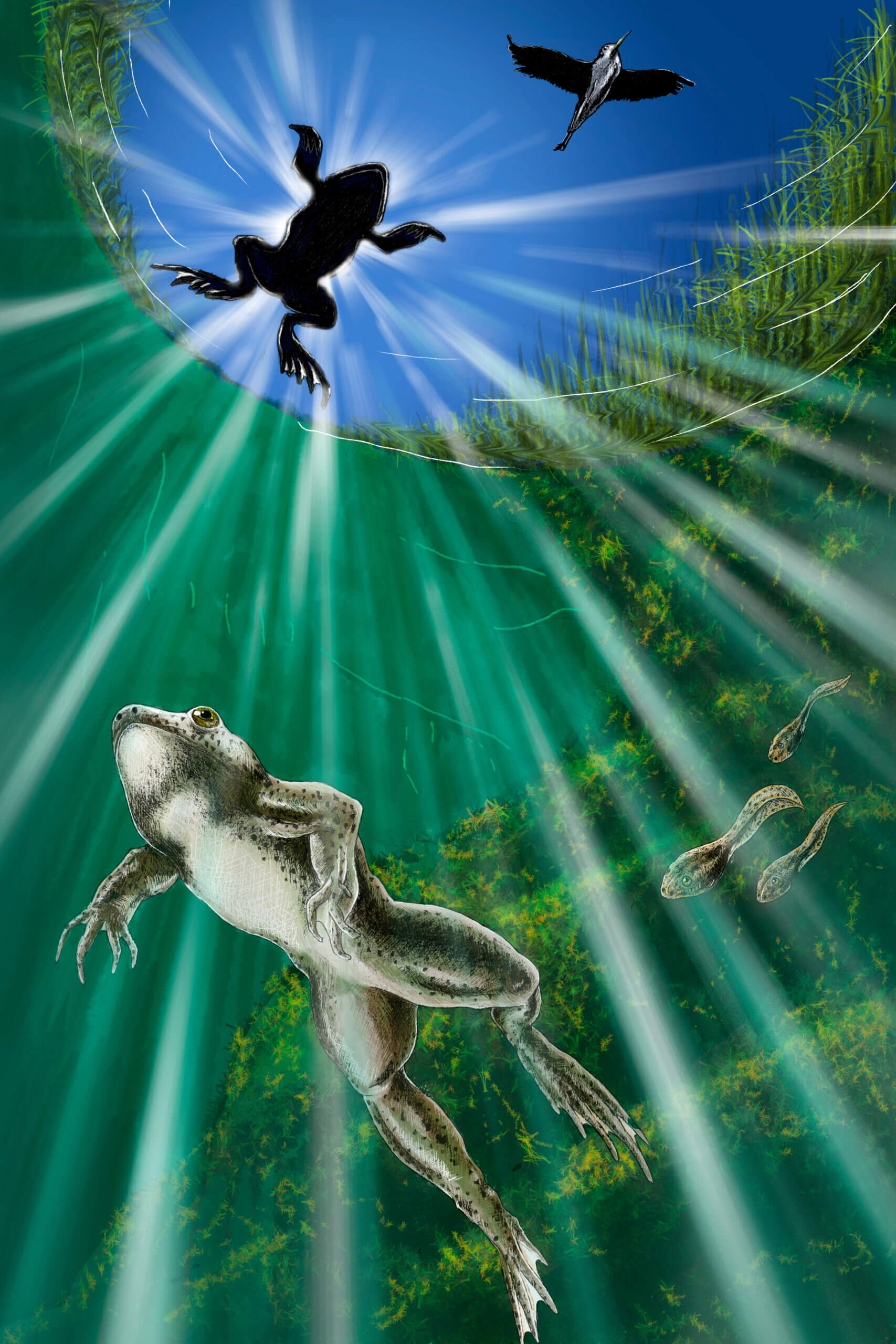 BEYOND OUR LITTLE FROG-WELL - Water from Rock Ministries